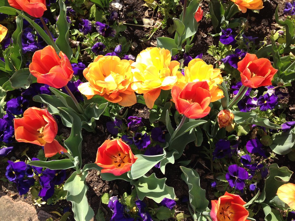 Artikel - vbw Online